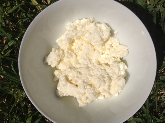 Make Your Own Ricotta In 5 Minutes - Lose Baby Weight